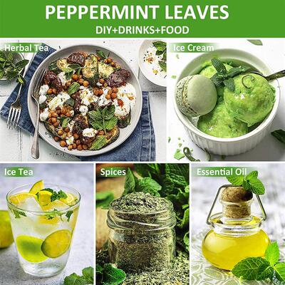 Mint leaves 20g/can Dried Peppermint Leaves for Tea