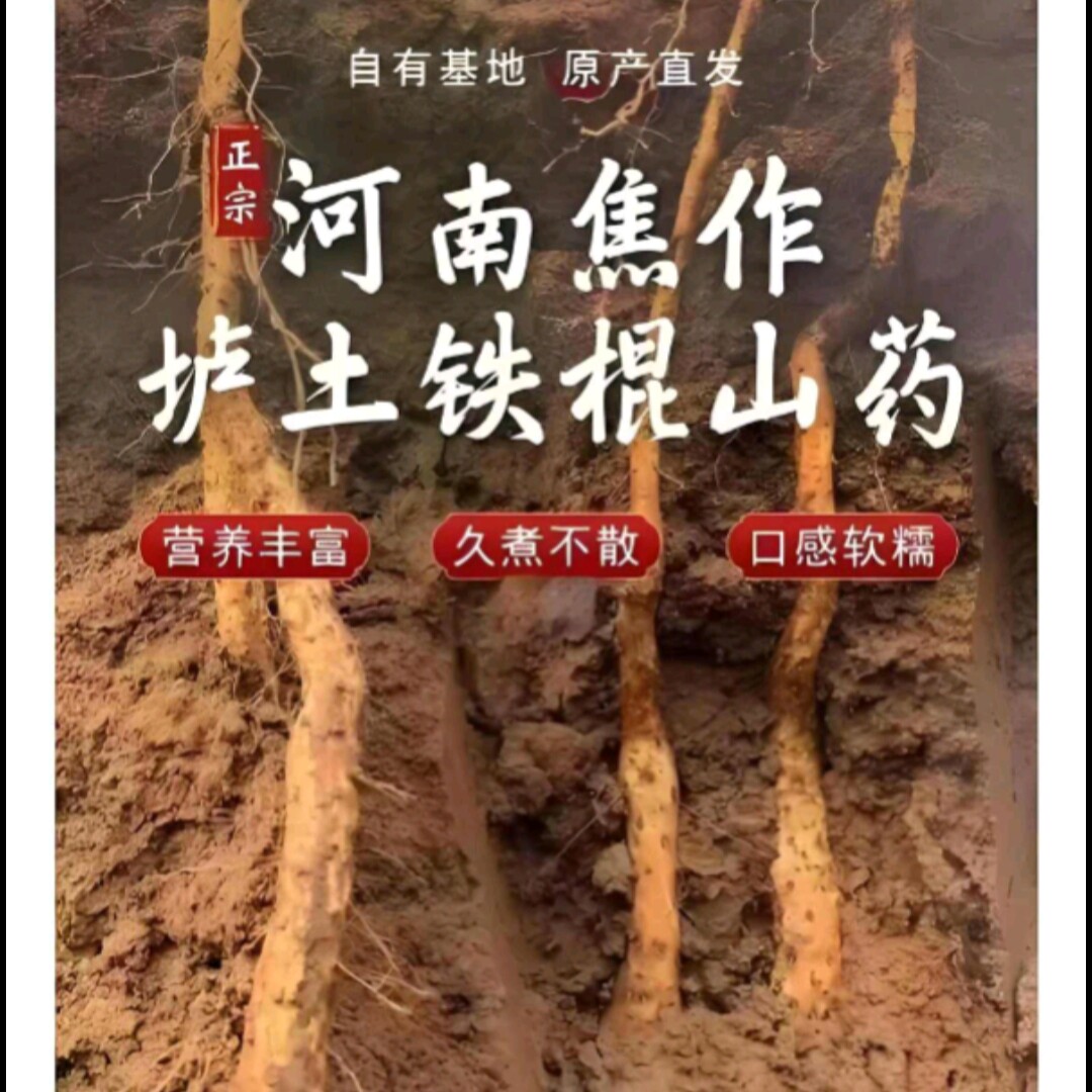 正宗河南焦作温县垆土铁棍山药新鲜淮山怀山药食同源食品 5斤包邮