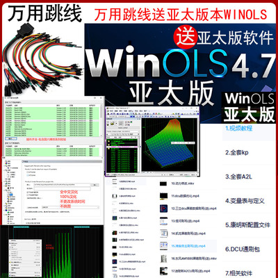 ECU跳线OBD专用赠不跳图亚太中文WINOLS4.7不改时间版