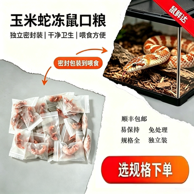 顺丰包邮冻鼠小白鼠乳鼠宠物蛇玉米蛇爬宠饲料独立包装四川爬虫