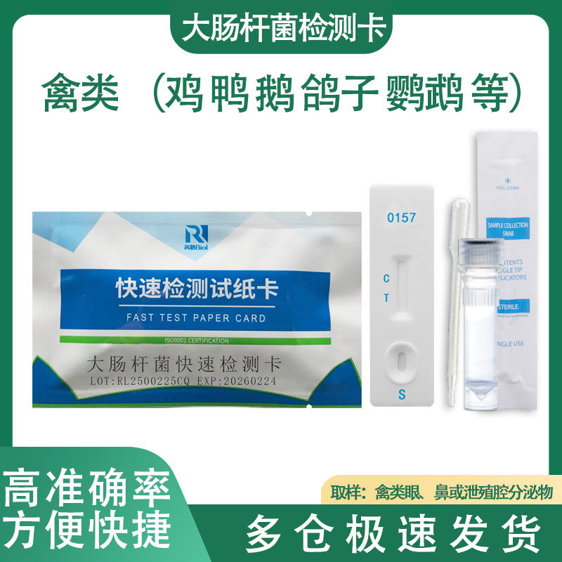 芮路鸟禽类鸽子鹦鹉大肠杆菌快速检测试纸卡方便快捷厂家直发包邮