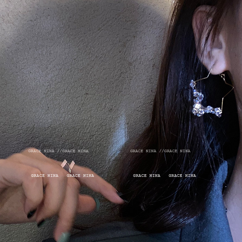 海王的宝藏~耳环2026年新款潮耳饰女耳钉显脸瘦个性气质长款水晶