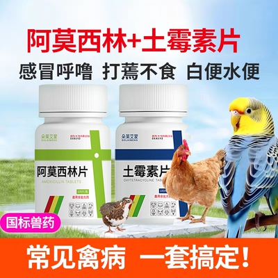 阿莫西林鸡鸭犬猫兽用恩诺沙星消炎鸡药驱虫专用药鹦鹉鸽拉稀感冒