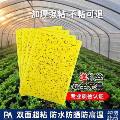 粘虫板黄板双面粘小飞虫果园果蝇诱捕器大棚灭苍蝇贴粘蝇纸室外