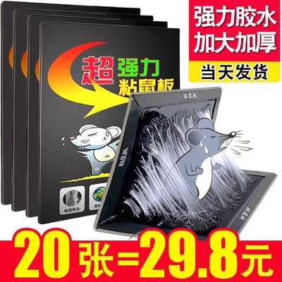 老鼠粘贴强力粘鼠板灭鼠胶粘大老鼠抓老鼠夹子家用扑捉器捕鼠神器