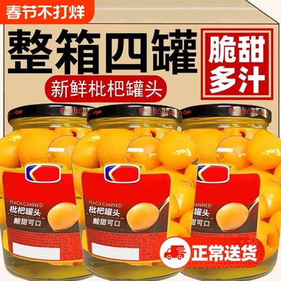 福建糖水枇杷罐头商用