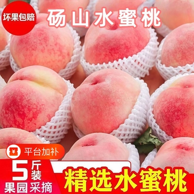 砀山水蜜桃大果新鲜水果现摘脆甜时令孕妇桃子蒙阴当季整箱天水