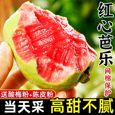 红心芭乐果新鲜水果包邮应季时令胭脂红巴乐整箱番石榴生鲜鲜果