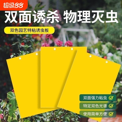 双面粘虫黄板诱虫板茶园果园菜地