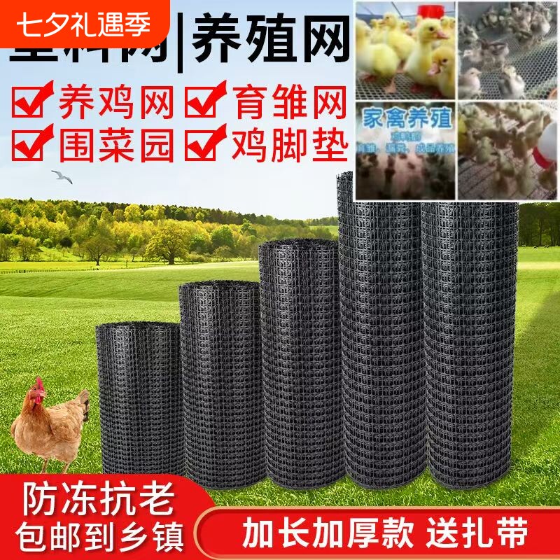 防护网圈玉米网养殖围栏网养鸡栅栏家用户外菜园护栏塑料网格鱼塘