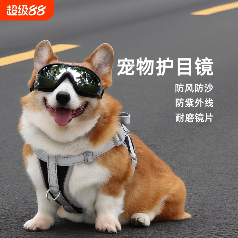 宠物狗狗护目镜柯基墨镜防风防紫外线边牧帅气眼镜配饰小型犬装饰