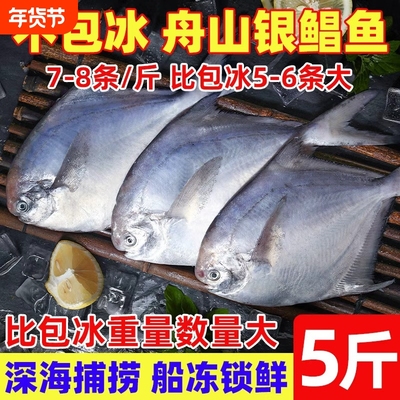 舟山银鲳鱼野生鲜活冷冻鲳鱼深海鱼平鱼昌鱼海鲜水产鳊鱼晶鱼一斤