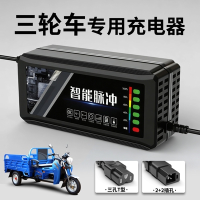 【次日达】三轮车电瓶充电器