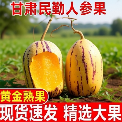 民勤沙漠人参果4.5斤低糖