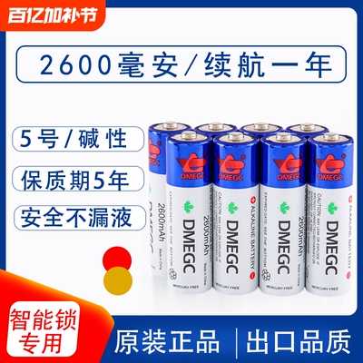 DMEGC原装电池5号AA-当天发货