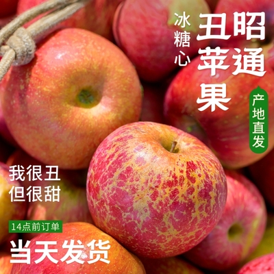 【产地直发】正宗昭通丑苹果！