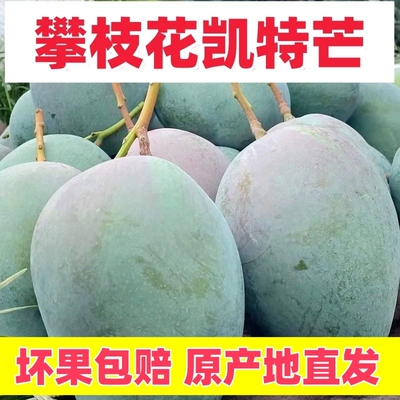 四川攀枝花凯特芒芒果水果凯特新鲜当季包邮应季青皮大果直发