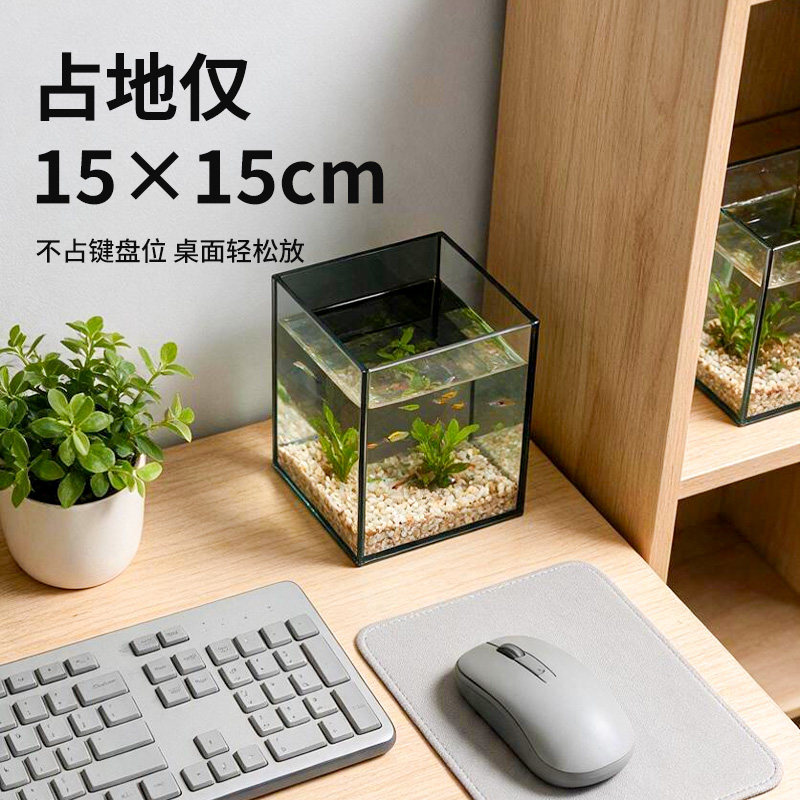 斗鱼缸造景超白斗鱼缸水网红斗鱼缸排缸家用小型泰国斗鱼专用鱼缸