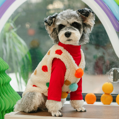 新年可爱狗狗马甲宠物衣服秋冬