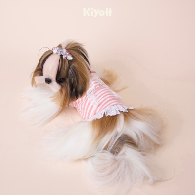 KIYOTT 蜜桃千层粉色条纹蕾丝蝴蝶结花边裙宠物服装可爱打底衫