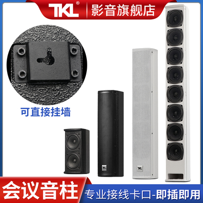 TKL H10 专业会议音柱音箱壁挂式中小型会议室音响套装室内背景球