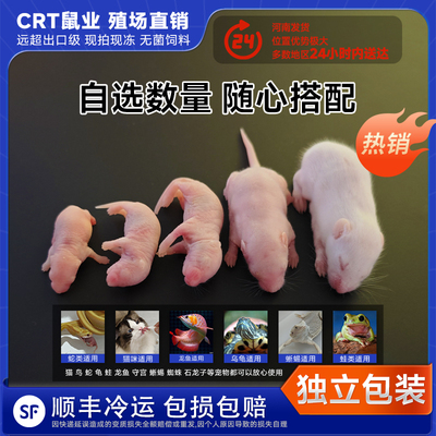 冷冻红皮开口料白霜亚成小乳鼠蛇饲料爬虫食物白鼠猫咪老蜥蜴守宫