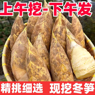 2025现挖新鲜冬笋5斤新鲜毛竹笋鲜笋竹笋鲜大毛笋新鲜春笋嫩笋尖S