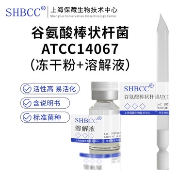 谷氨酸棒状杆菌ATCC14067冻干粉