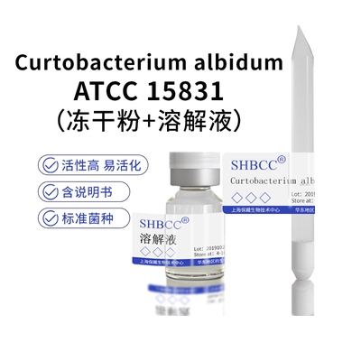 Curtobacteriumalbidum冻干粉