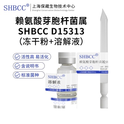 赖氨酸芽胞杆菌属SHBCCD15313