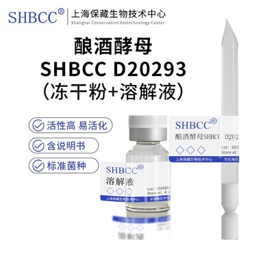 酿酒酵母SHBCCD20293非模式菌株