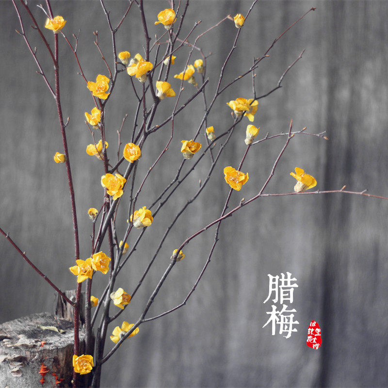 干s树枝腊梅桃花客厅酒店书房电视柜艺术家居花瓶插花梅花干树枝