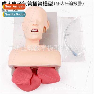 J50 adult electronic tracheal intubation teaching model huma