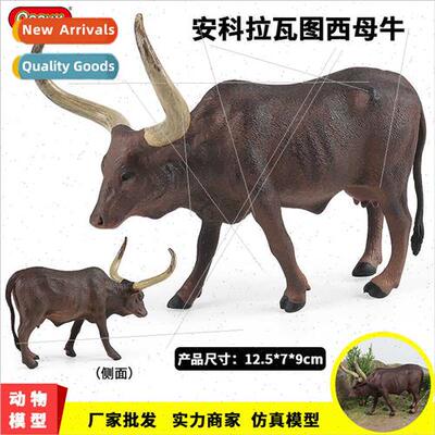 Solid Anchor Lavatucci cow model animal model poultry ranch