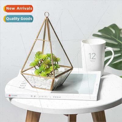 mple geometric glass cover container potted plants simulatio