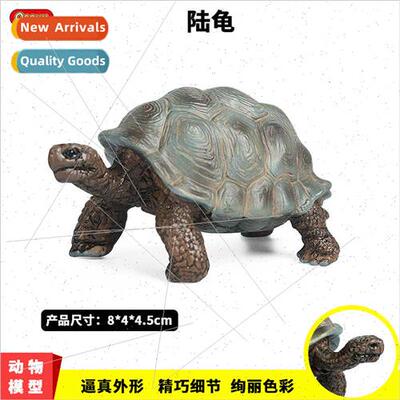 model turtle lturtle sea creature turtle handpcs ornaments