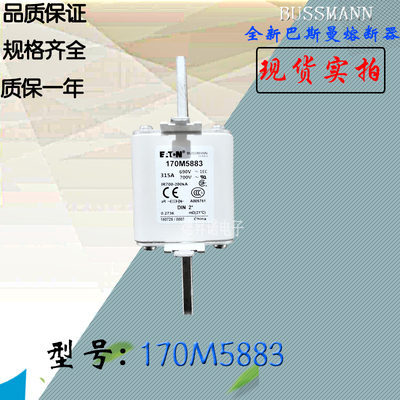 全新热卖170M5881原装巴斯曼熔断器170M5882电子保险丝170M5883
