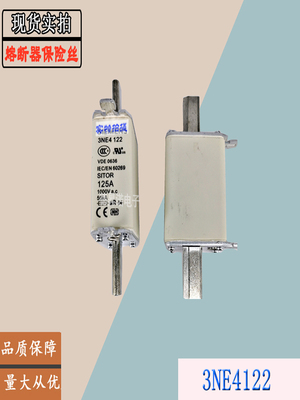 SIEMENS3NE4121熔断器保险丝