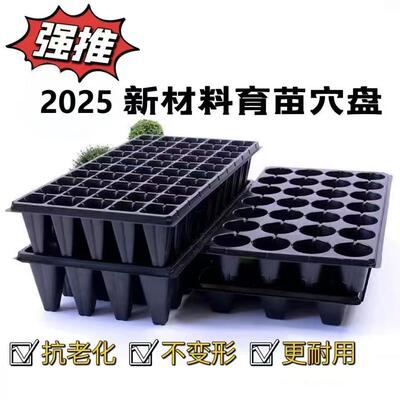 高脚育苗盘草莓月季樱桃林木加深加厚穴盘21孔32孔5072营养育苗杯