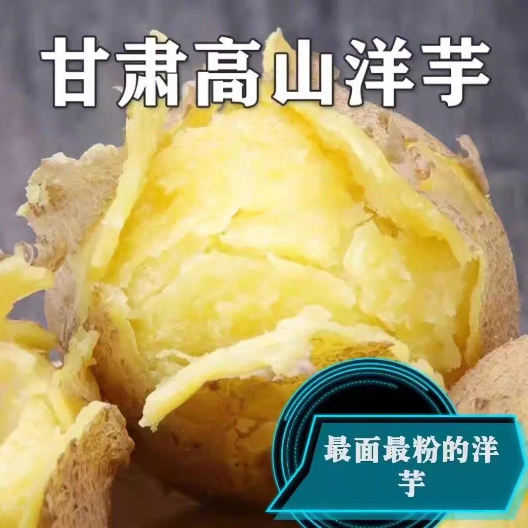 甘肃定西土豆新鲜沙面大个老洋芋马铃薯粉糯开花农家自种