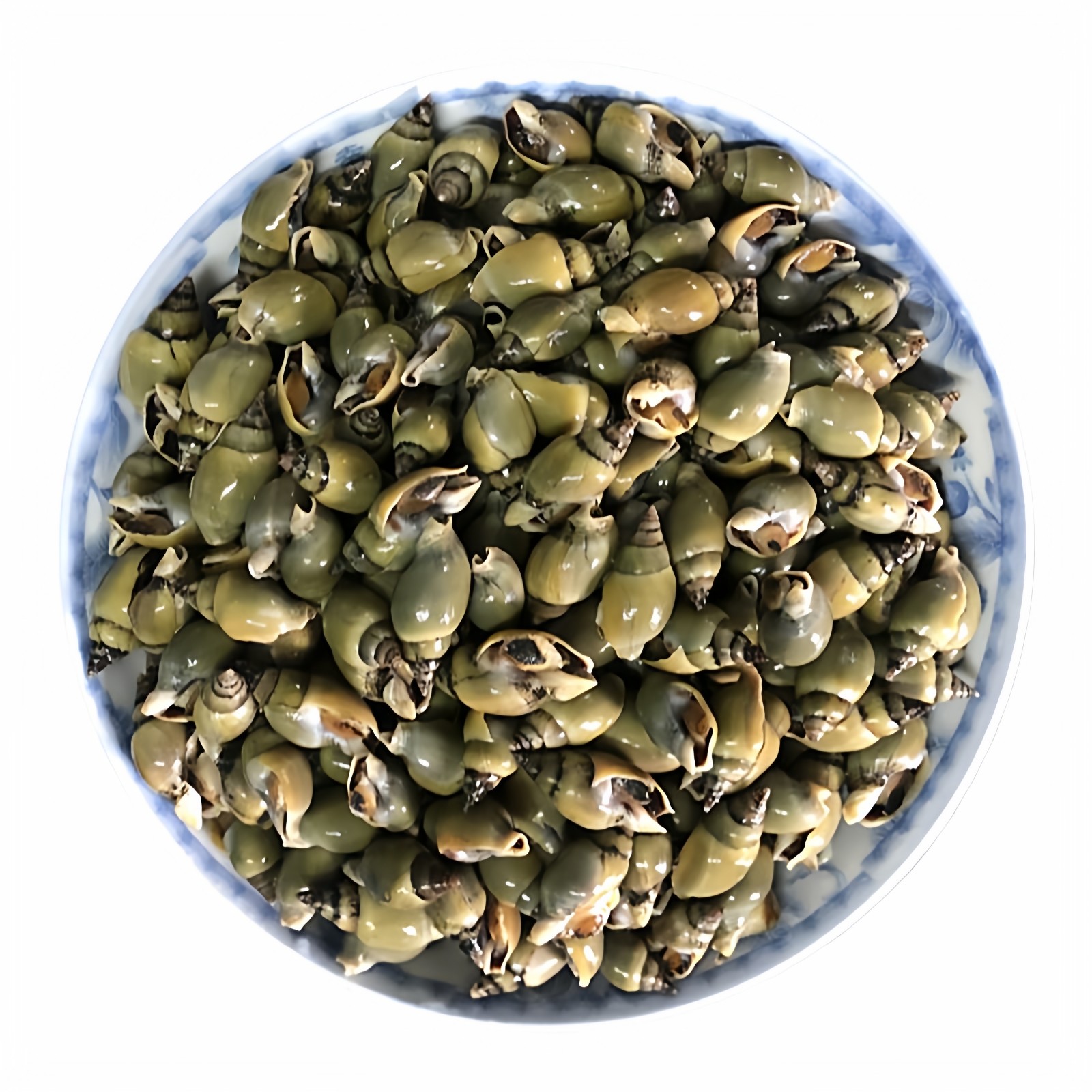 新鲜小青螺翡翠螺小海鲜海青螺小螺丝青壳海螺冷冻水产商用批发