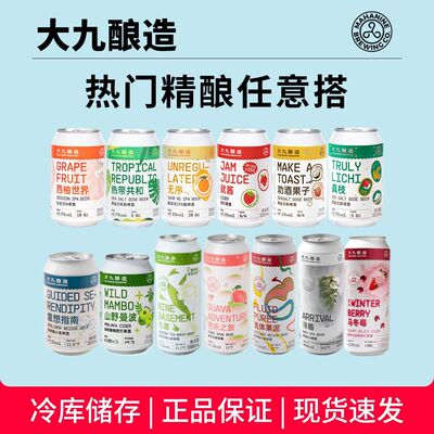 大九酿造马冬莓酸奶冰淇淋西打果酒流体果泥精酿啤酒IPA单罐任搭