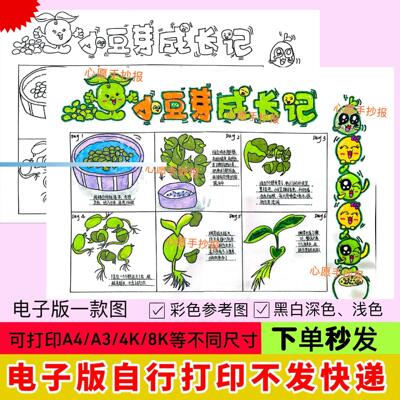 可打印059豆芽成长记手抄报电子模板植物生长观察日记小学生记录