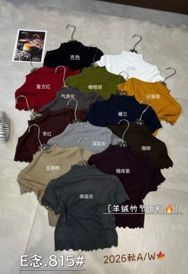 Ｅ念815设计感小众木耳边半高领短袖女秋季修身显瘦百搭打底上衣