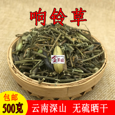 野生散装云南响铃草全草园