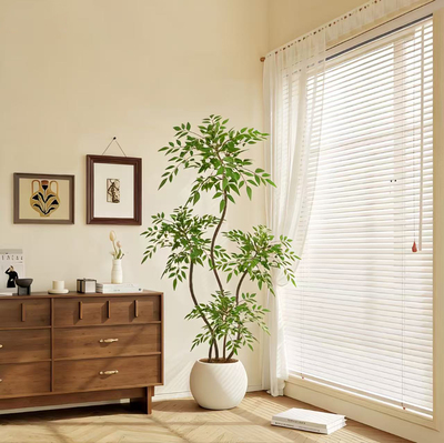 大型盆栽南天竹绿植室内南天竺老桩客厅植物禅意真树庭院造景日式