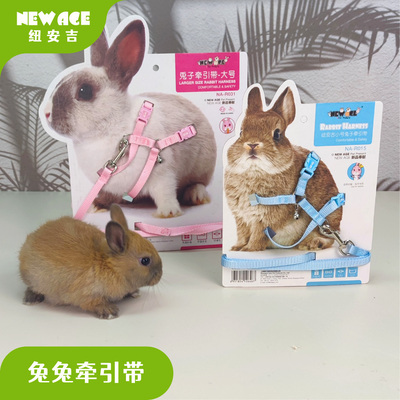 纽安吉兔绳外带牵引垂耳兔