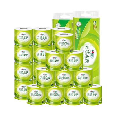 心相印BT5312云感柔肤110g12卷有芯卷纸压花4层加厚卫生纸2提