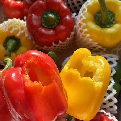 山东五彩椒寿光柿子椒灯笼圆椒不辣生吃水果椒整箱沙拉时令蔬菜