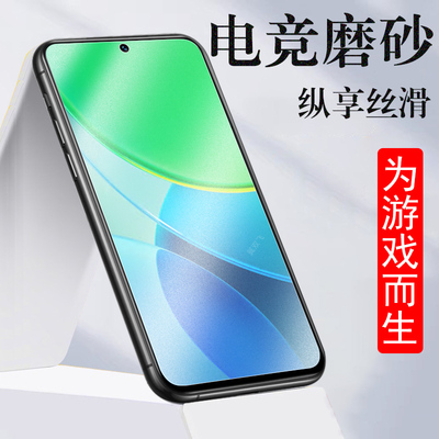 vivoy19s/v2419磨砂钢化膜抗指纹